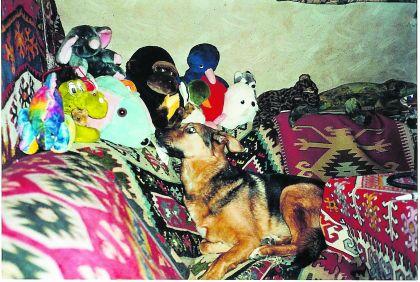 Mein Befund: Der Hund macht gesund